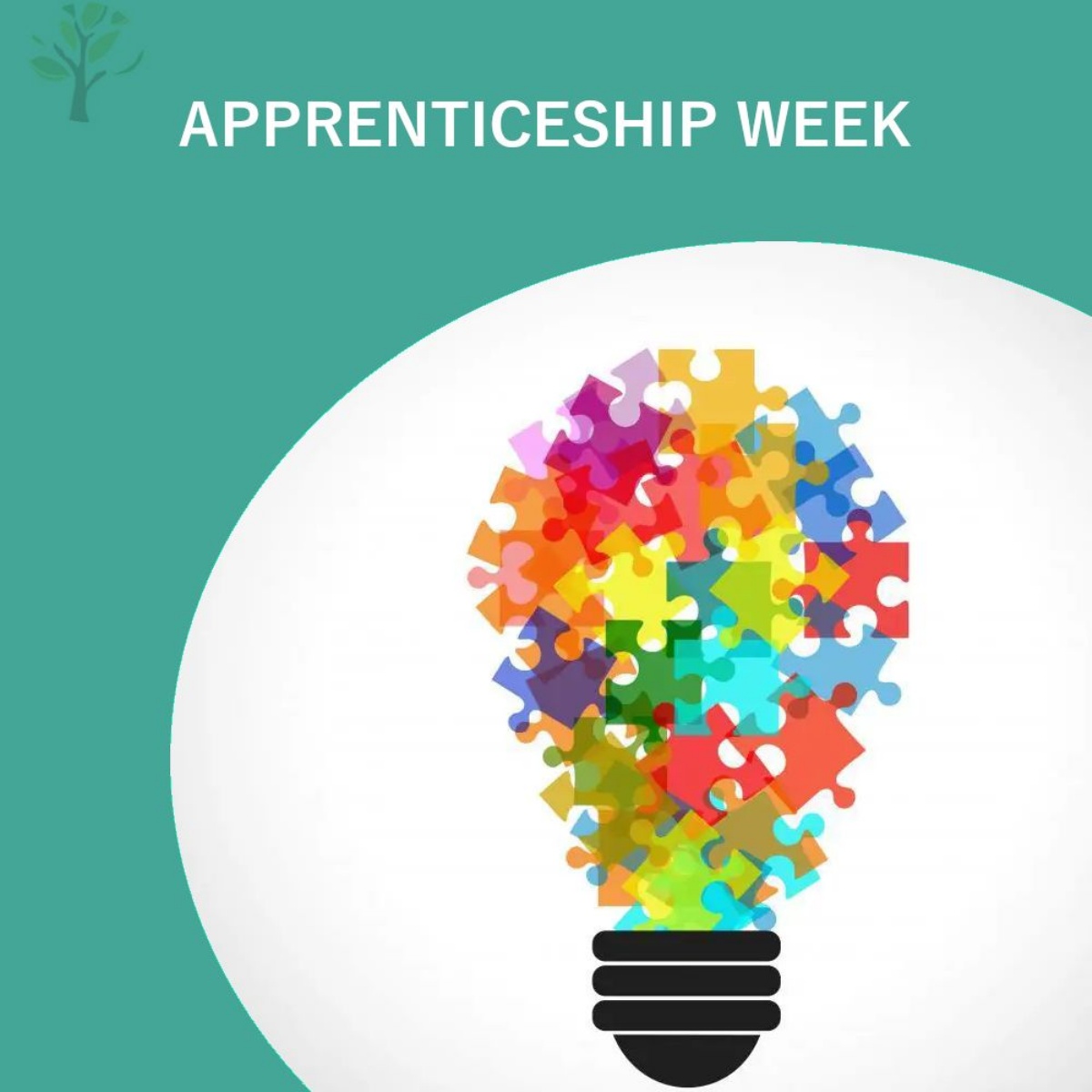 Limehurst Academy Apprenticeship Week limehurst-academy-apprenticeship-week